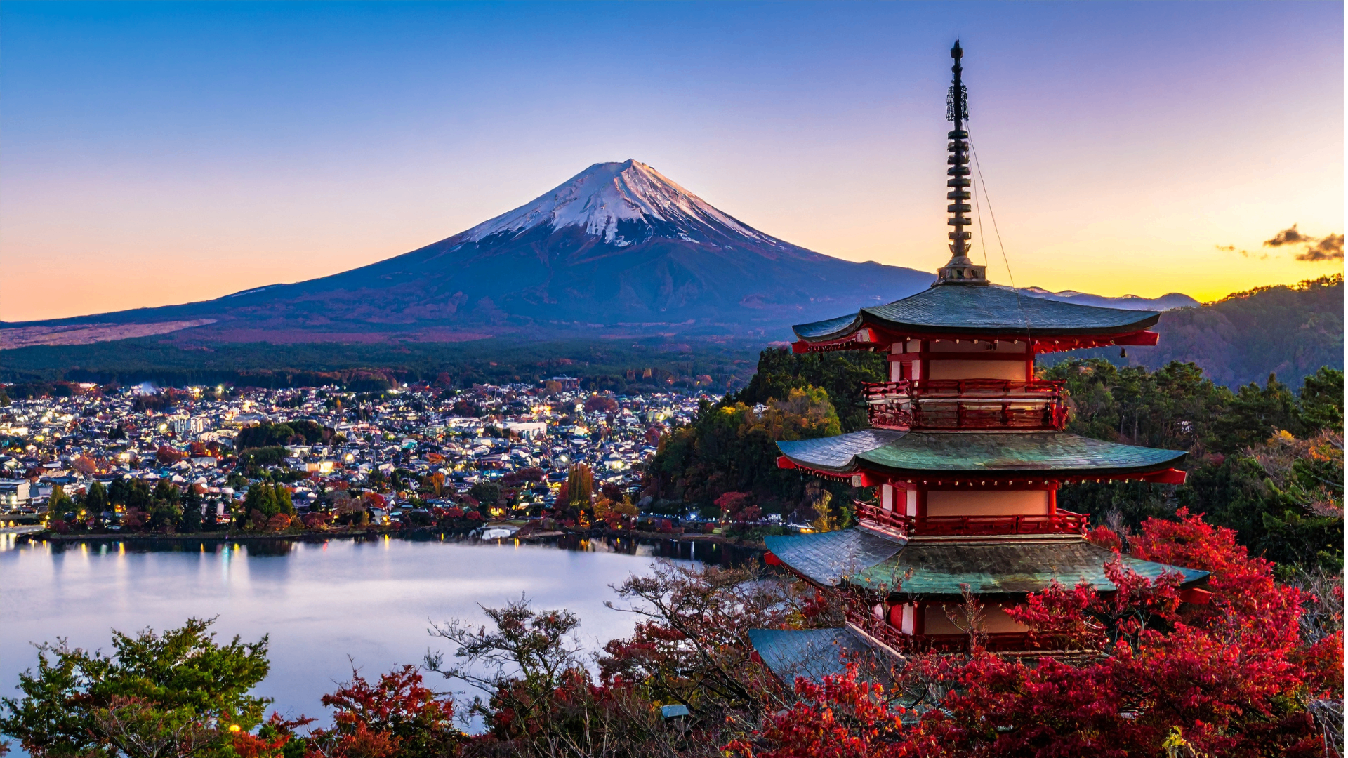 Japan Business Partner for Saudi Arabia & GCC | Yorozuya Co., Ltd.
